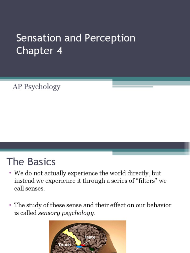 Sensation and Perception in Psychology | PDF | Senses | Perception