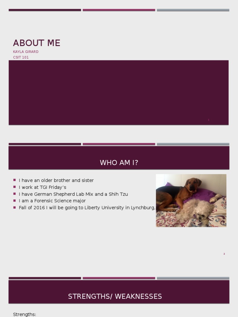 Csit 101 About Me Presentation | PDF