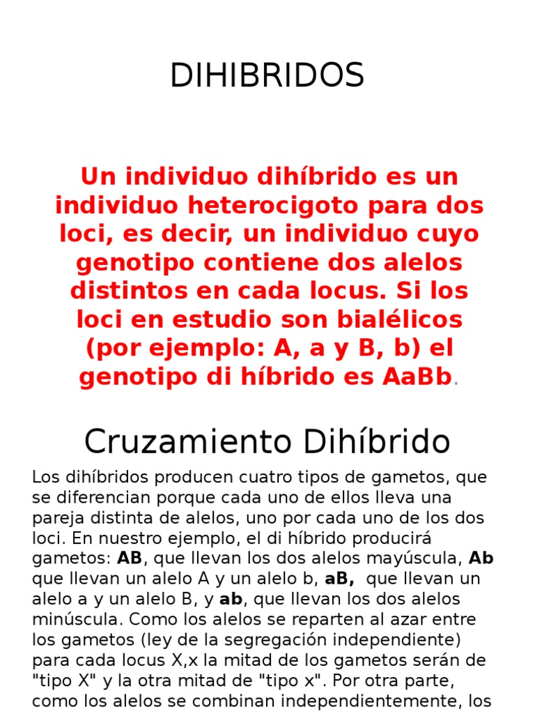 DIHIBRIDOS | PDF | Epistasis | Dominancia (Genética)