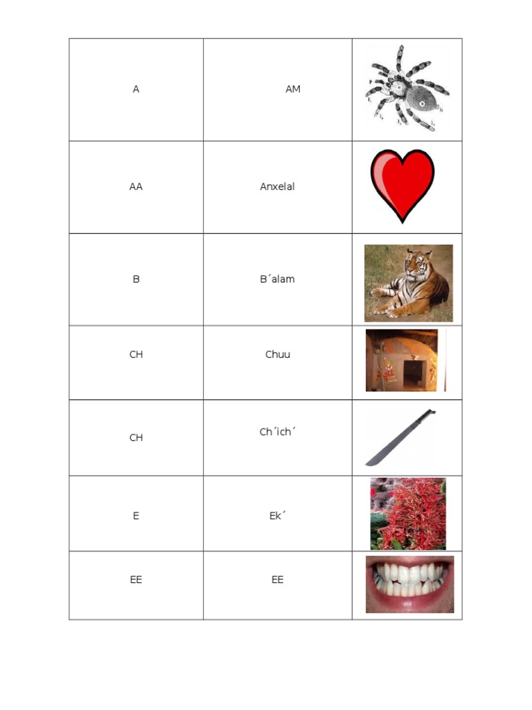 Abecedario Ixil | PDF