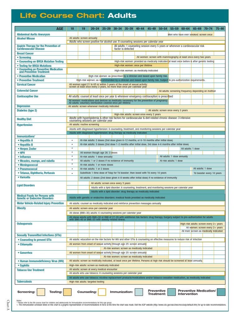 Life Course Chart:: Adults | PDF | Sexually Transmitted Infection ...