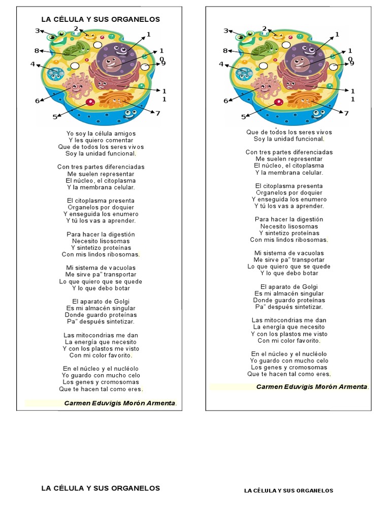 Poema de La Célula | Citoplasma | Vacuole