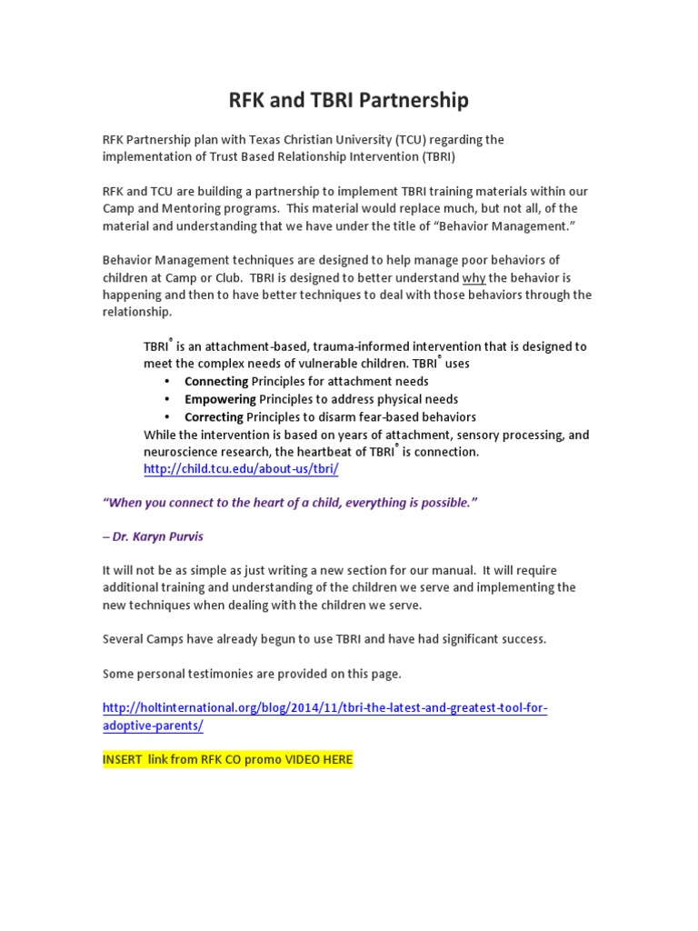 Tbri Plan | PDF | Cognition | Psychological Concepts