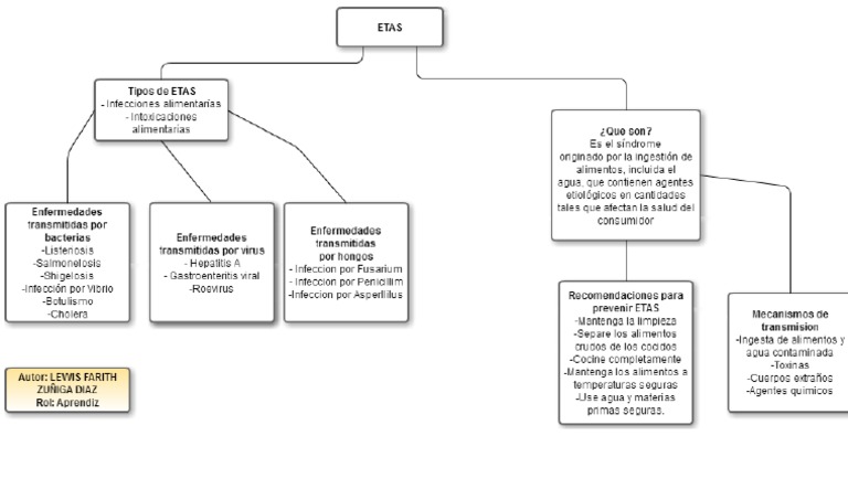 Mapa Conceptual Etas | PDF