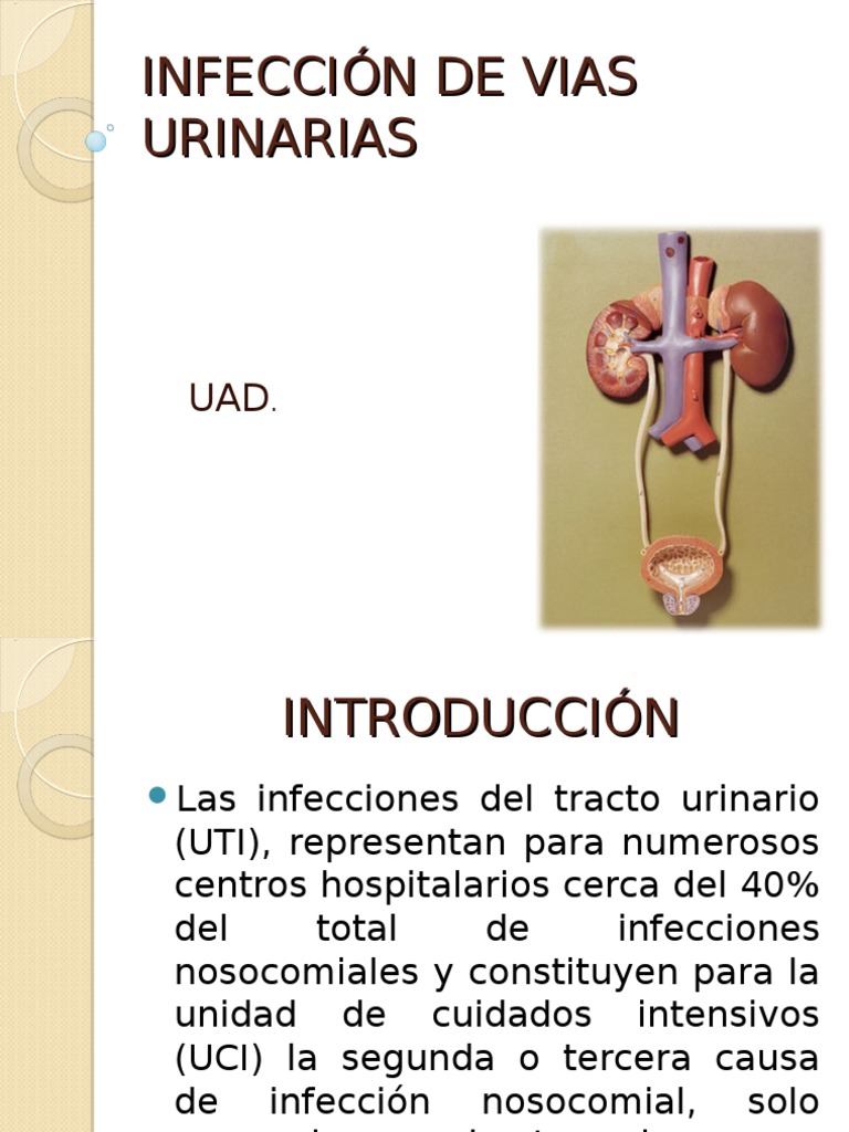 Infecciones de las vías urinarias