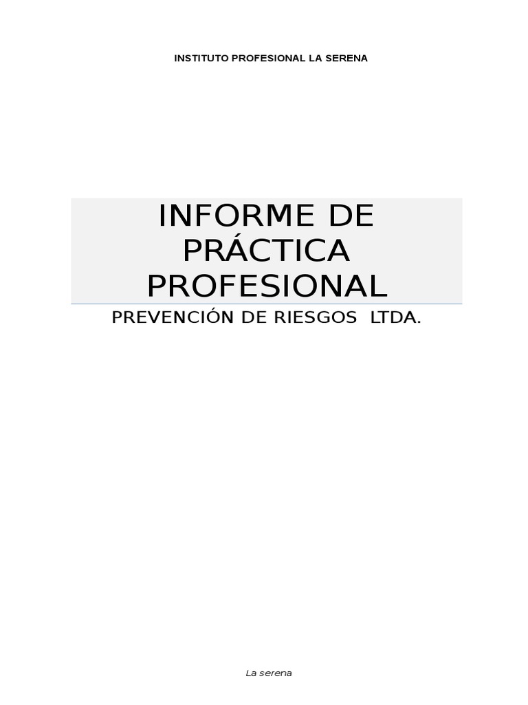Informe de Practica Profesional | PDF | Planificación | Business