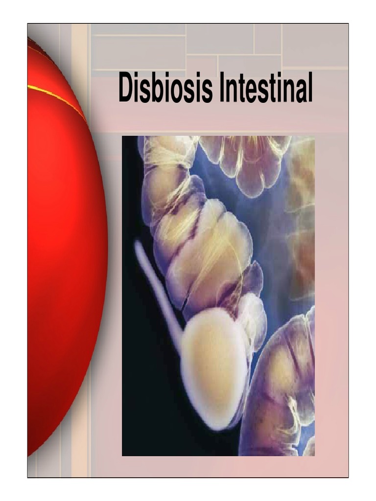 3 Disbiosis Intestinal | Escherichia coli | Las bacterias