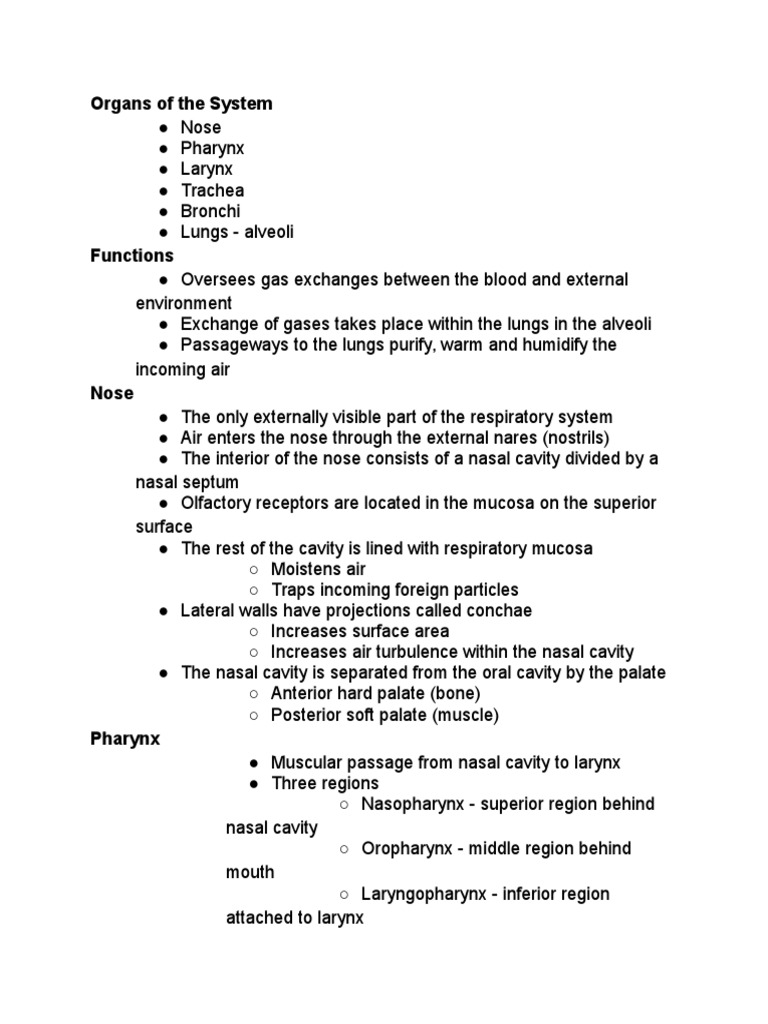 Respiratory System Notes | PDF | Lung | Exhalation