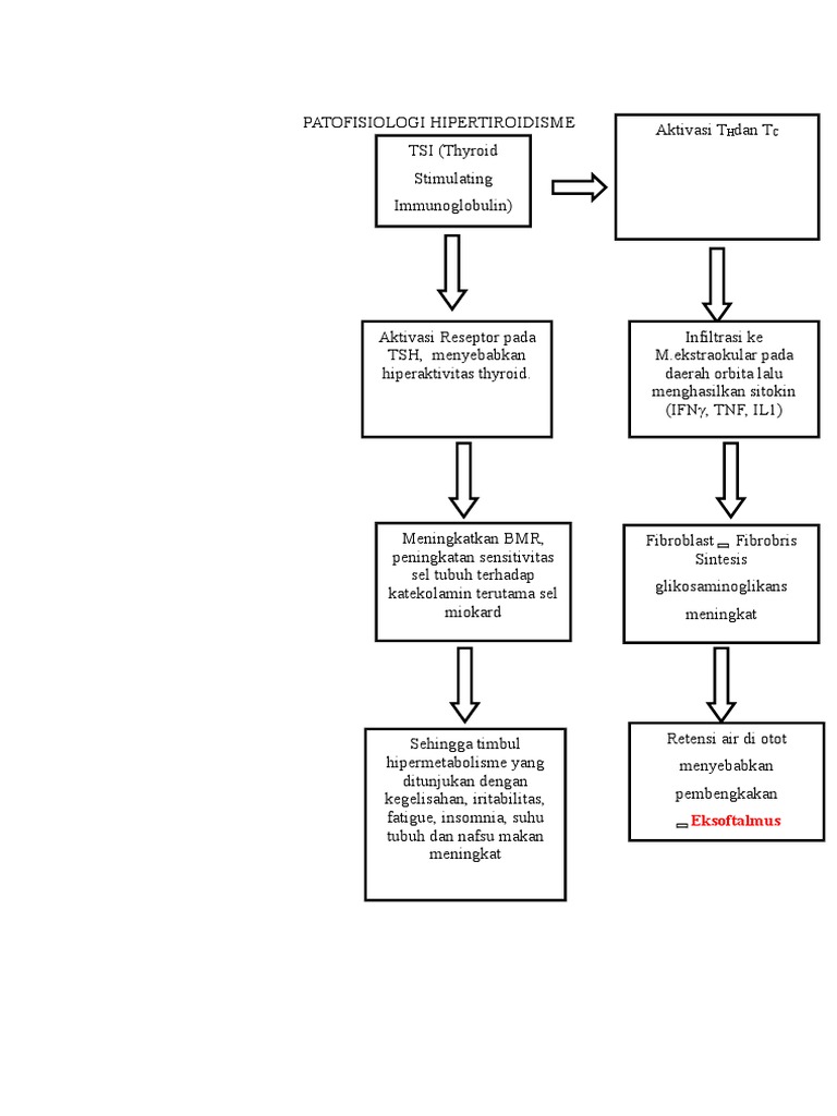 Bagan Patofisiologi Hipertiroidisme 12 | PDF