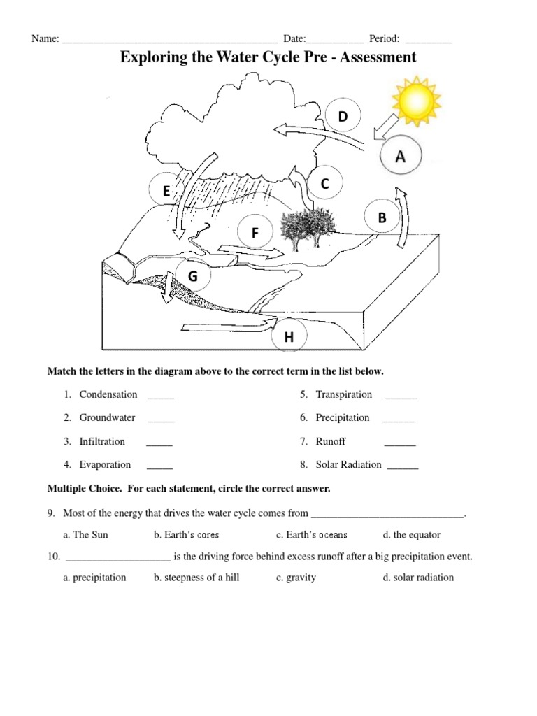 Exploring The Water Cycle Pre-Post Assessment | PDF | Science & Mathematics
