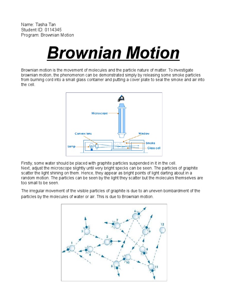 Understanding Brownian Motion Experiment | PDF