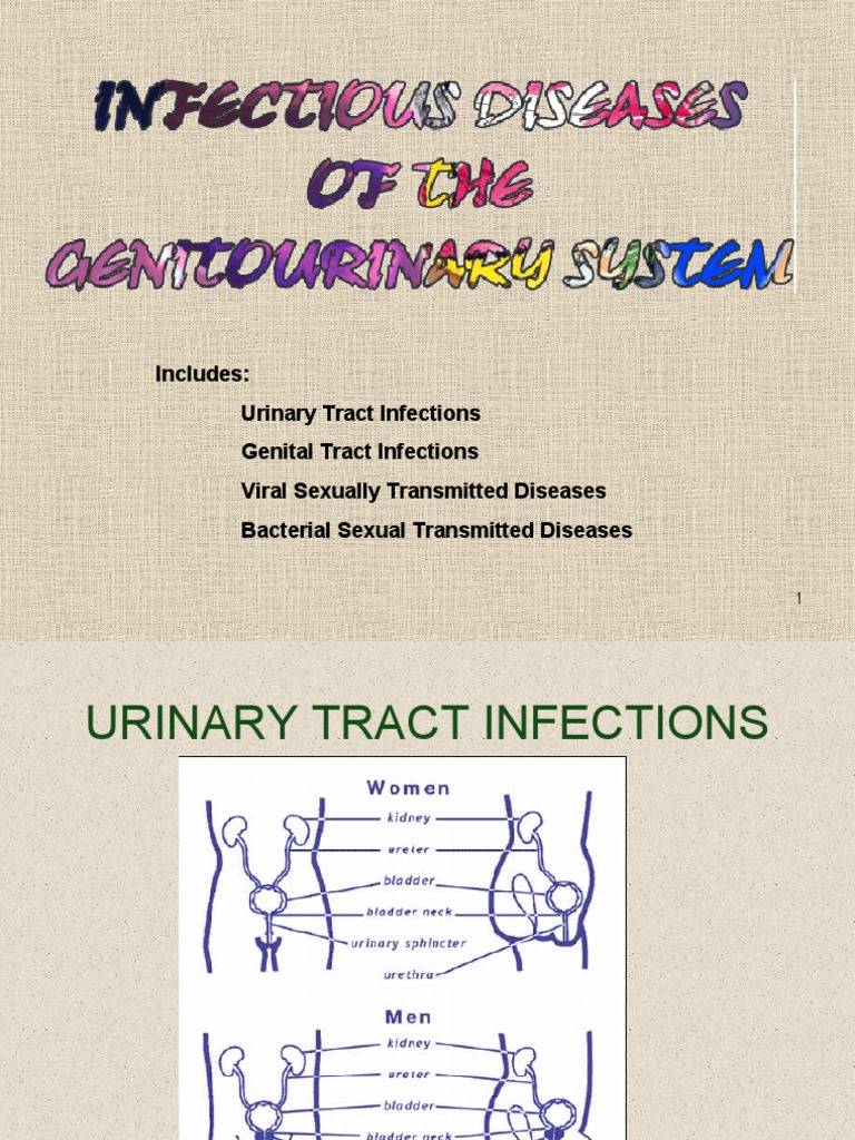 Genitourinary Diseases | PDF | Urinary Tract Infection | Sexually ...
