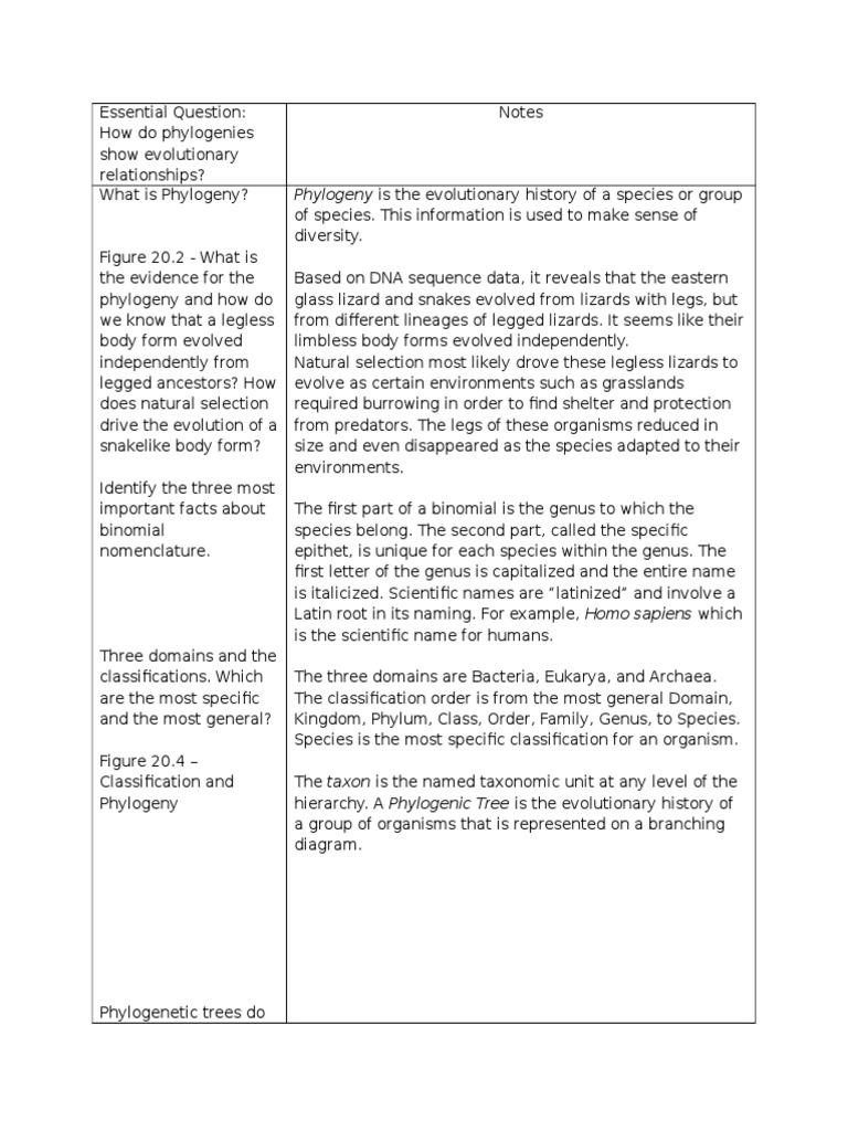Chapter 20 Phylogeny (AP Biology Notes) | PDF | Phylogenetic Tree ...