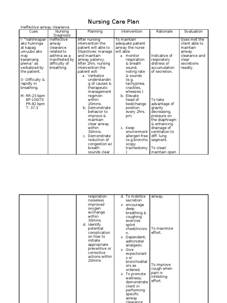 Nursing Care Plan For Ineffective Airway Clearance | PDF | Respiratory Tract | Pain