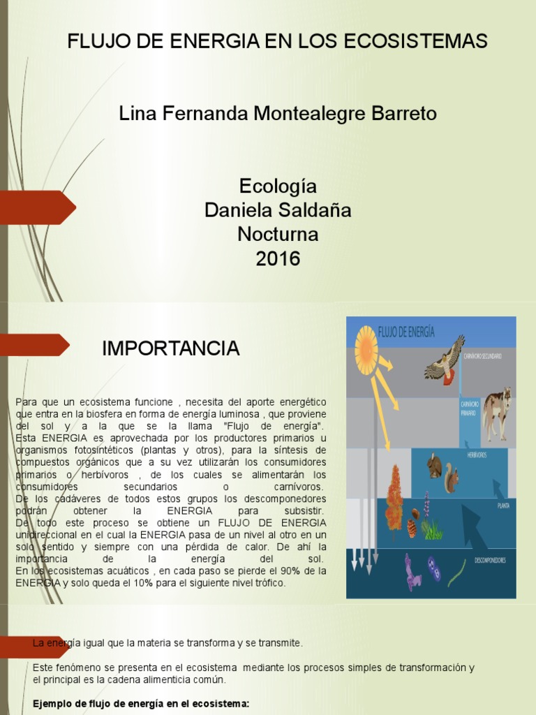 Flujos de Energia | PDF | Ecología | Ecosistema
