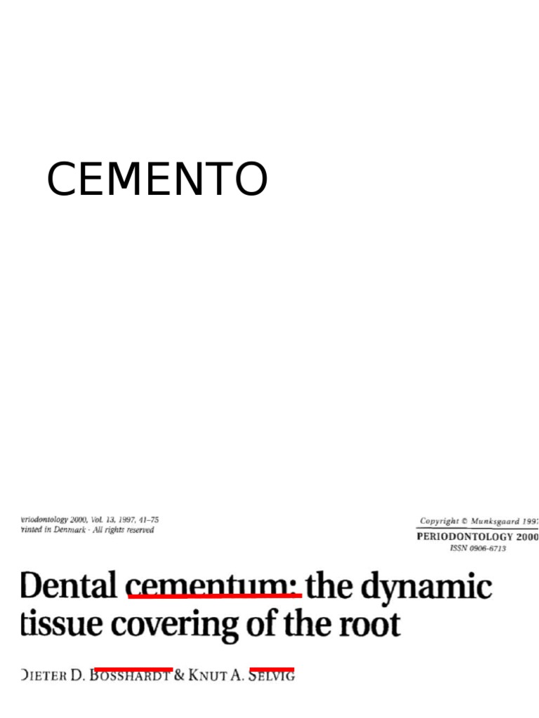 Cementogenesis | PDF | Diente humano | Epitelio