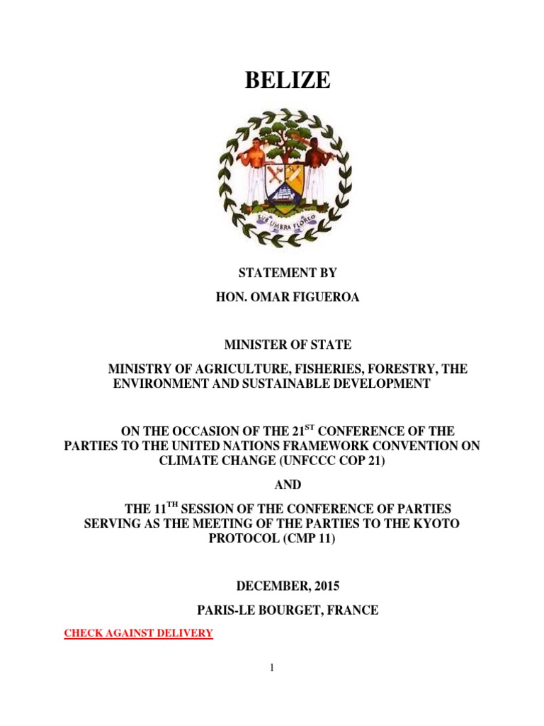 Belize's COP21 | PDF | Global Environmental Issues | Climate Change