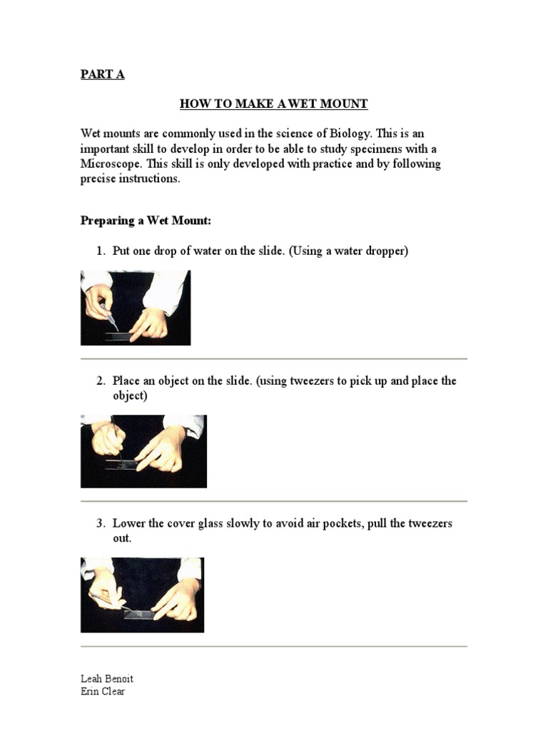 Preparing A Wet Mount - Experiment | PDF | Forensic Science | Microscope