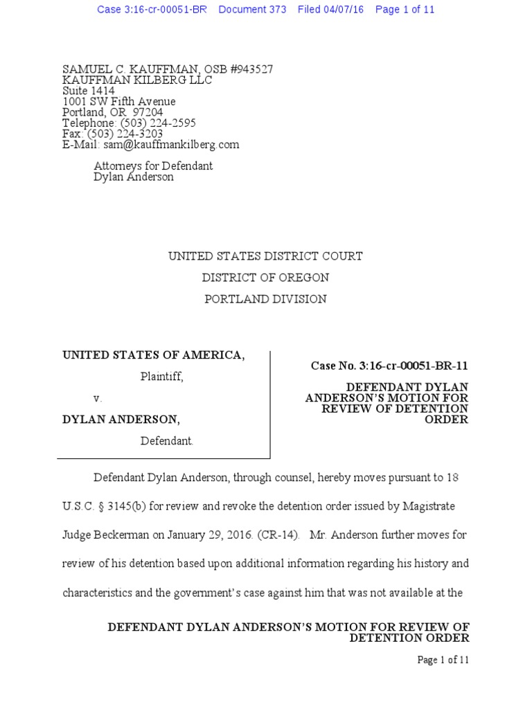 Dylan Anderson Detention Review Motion | PDF | Remand (Detention ...