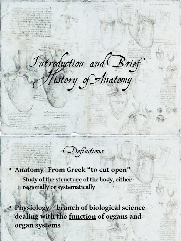 Brief History of Anatomy | PDF | Anatomy | Medicine