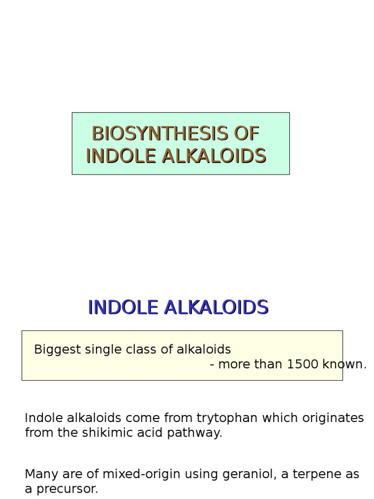 Indole Alkaloid Biosynthesis Overview | PDF | Tryptophan | Organic ...