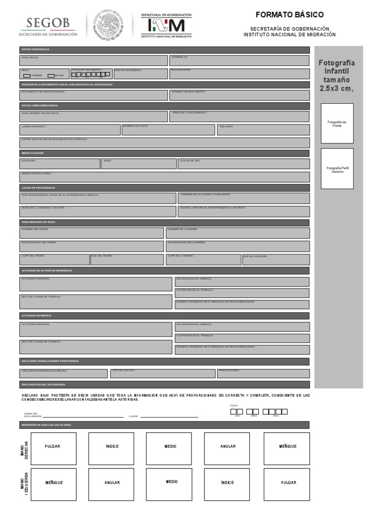 Formato Basico | PDF | México