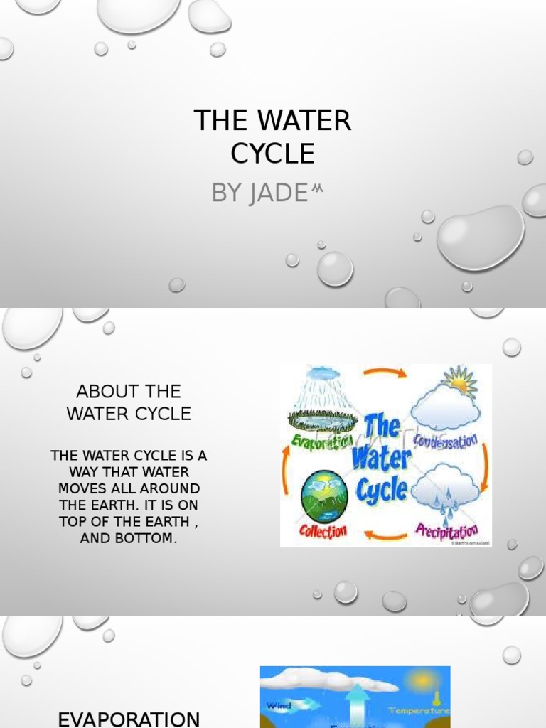 Understanding the Water Cycle | PDF
