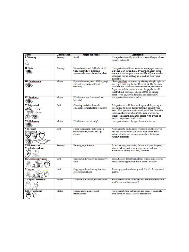 Cranial Nerves Cheat Sheet | PDF
