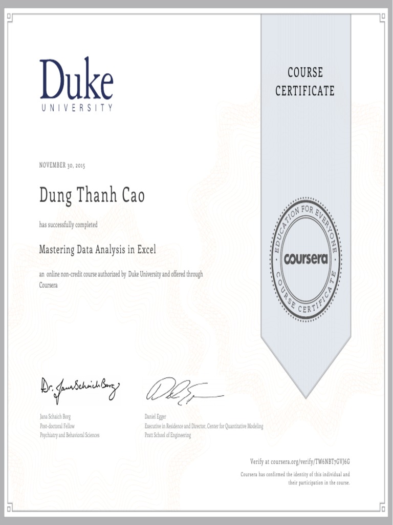 Coursera Excel Certificate | PDF
