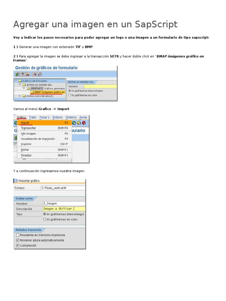 Agregar Una Imagen en Un SapScript | PDF