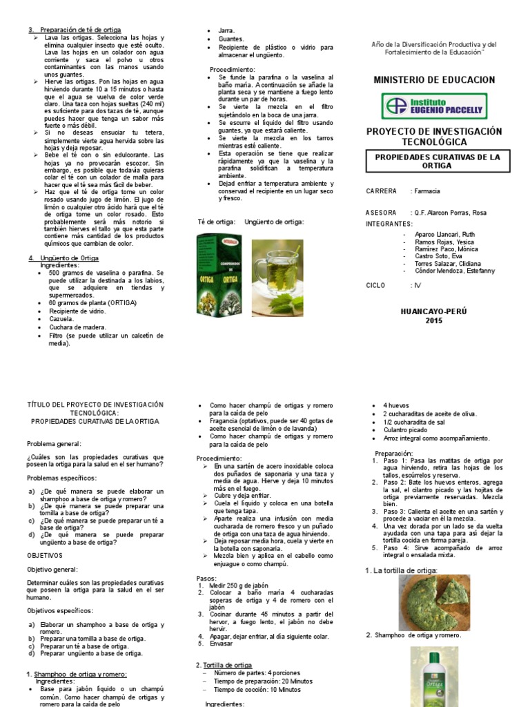 Triptico Preparación de Té de Ortiga | PDF | Romero | Champú