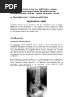 Síndrome de Potter: Causas y Características | PDF | Epidemiología ...