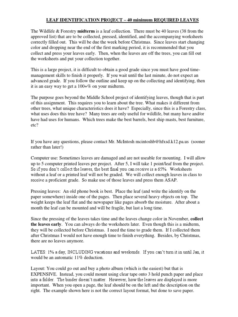 Leaf Identification Project Guide | PDF | Trees | Plant Life Form