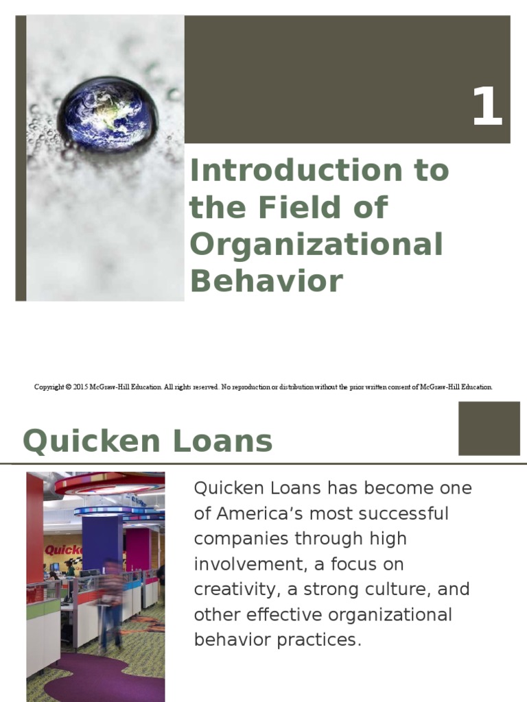 Chapter 1 Slides - Organizational Behavior | PDF | Corporate Social ...