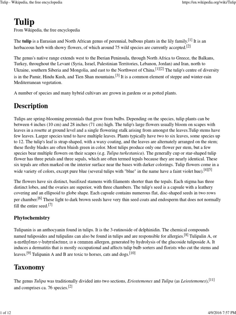 Tulips | PDF | Tulip | Plants