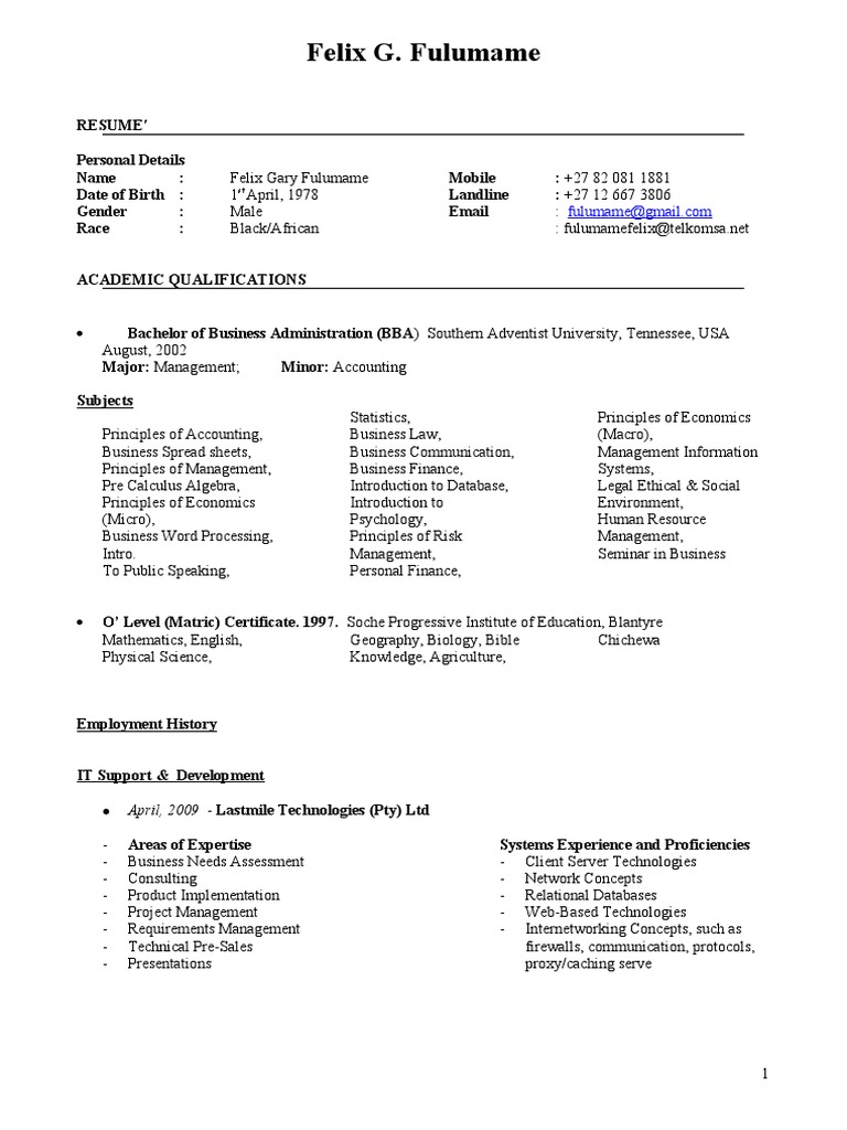 Felix CV - IT | PDF | Computer Network | Cultural Conventions
