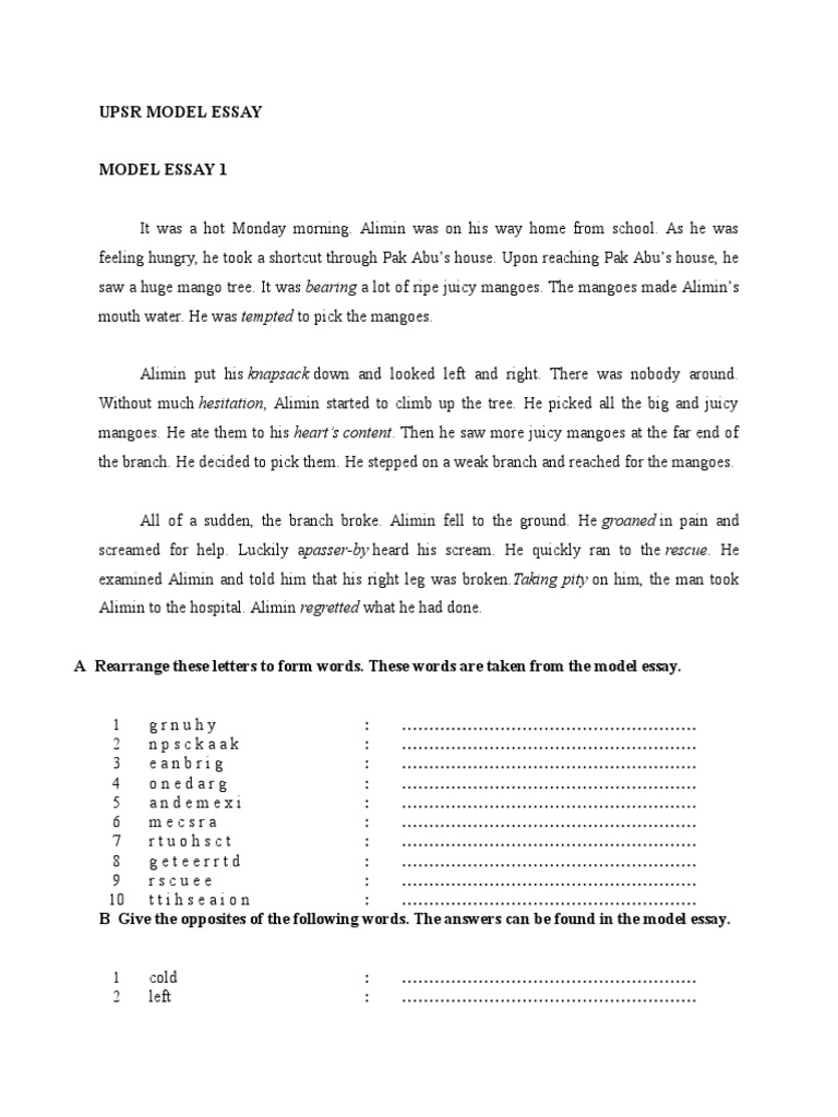 Upsr Model Essay Fun Learning | PDF | Adjective | Language Mechanics