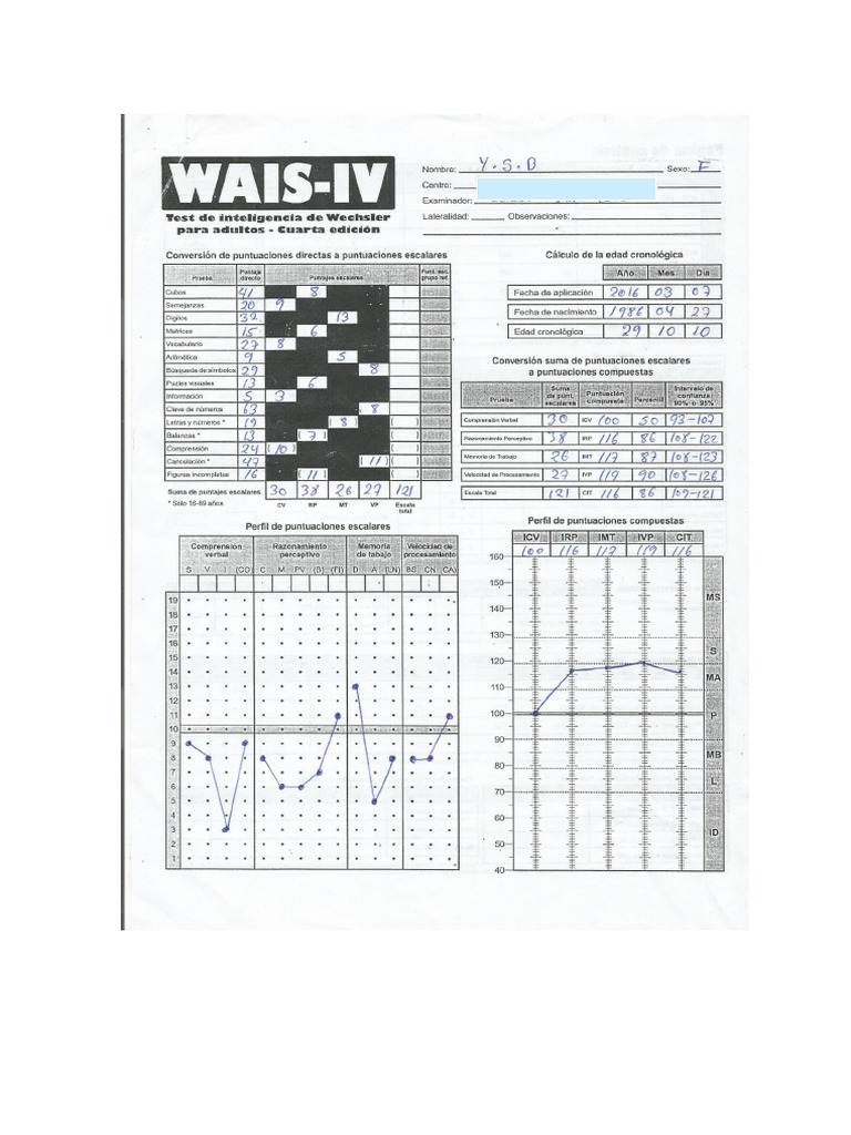 Informe Wais IV PDF