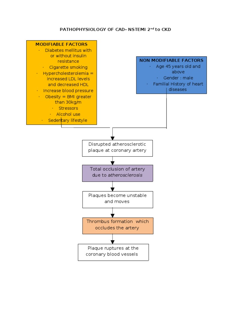 Pa Tho Physiology of Cad Nstemi | PDF