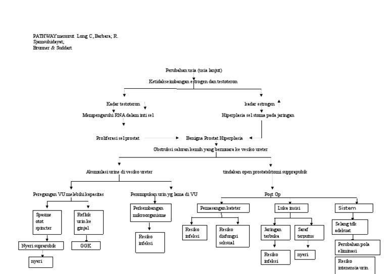Pathway BPH | PDF | Ilmu Sosial