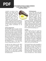 Hass Avocado Farming Guide | PDF | Grafting | Avocado