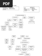 Coronary Artery Disease (CAD Pathophysiology) | PDF | Angina Pectoris ...