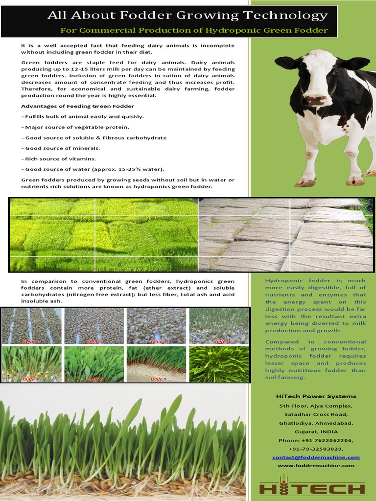 Hydroponic Fodder Growing System | PDF | Fodder | Hydroponics