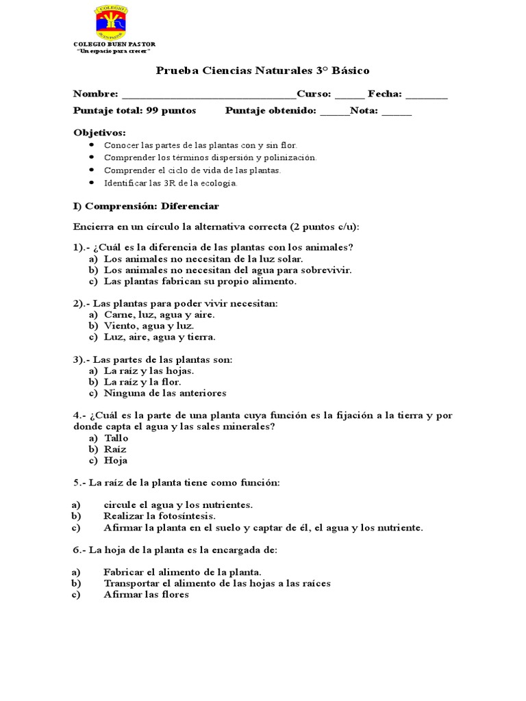 Prueba Ciencias Naturales 3 Las Plantas | Plantas | Flores