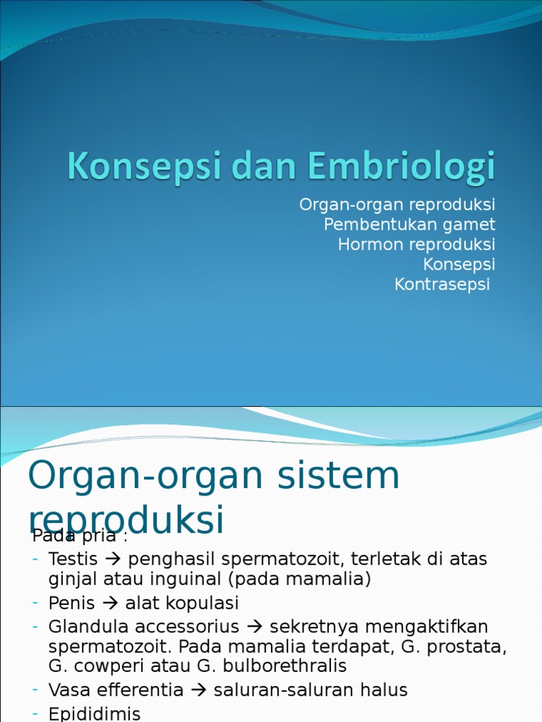 Konsepsi Dan Embriologi | PDF