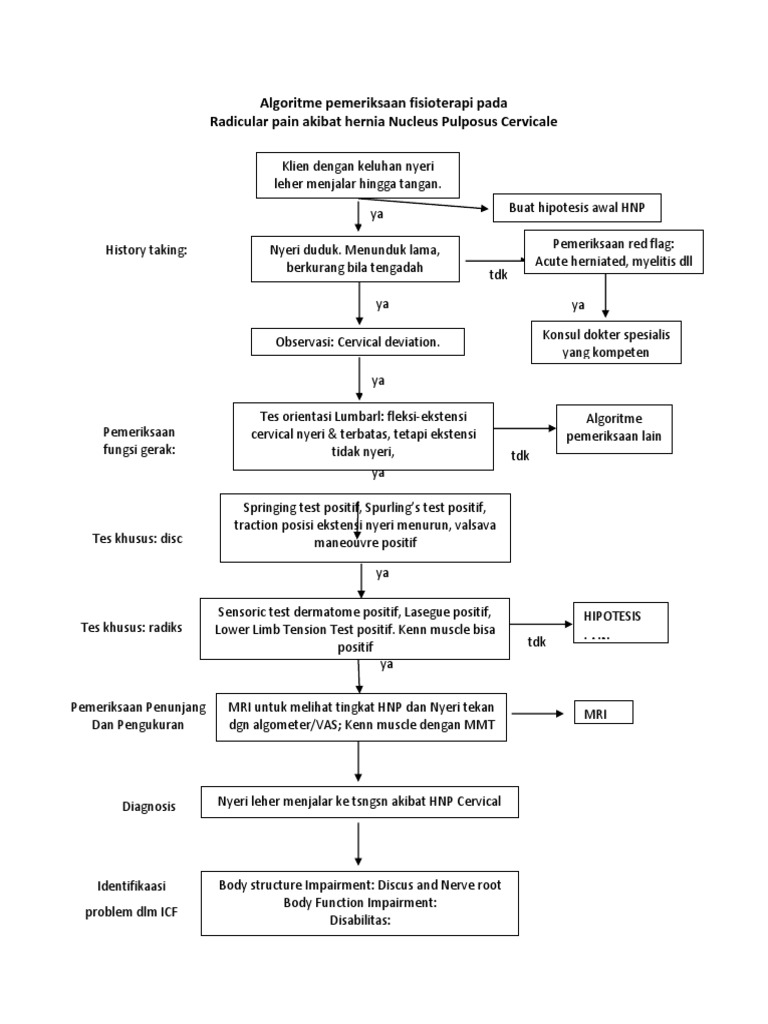 27A. Algoritme Pemeriksaan Fisioterapi Pada HNP Cervical PDF | PDF