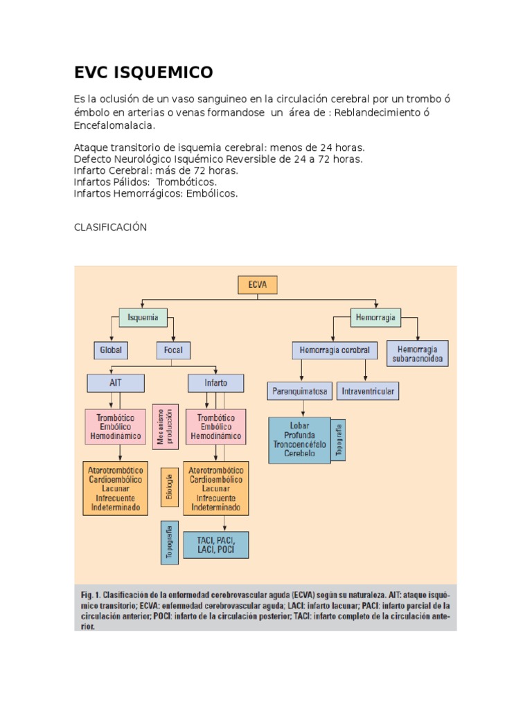 EVC Isquémico: Causas y Tratamiento | PDF | Isquemia | Infarto de miocardio