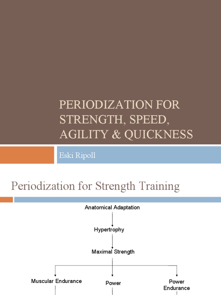Periodization For Strength, SA&Q | PDF | Nervous System | Strength Training