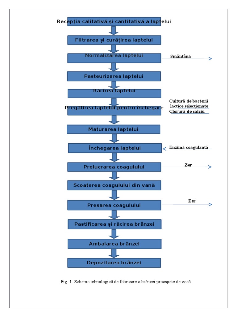 Schema Tehnologică | PDF