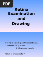 Fundus Diagram Drawing Guide | PDF | Retina | Human Eye